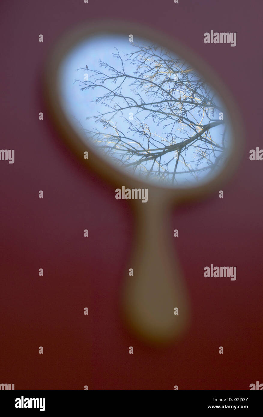 Blurred Mirror with Tree Reflection Stock Photo - Alamy