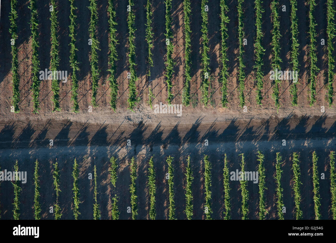 Temecula vineyard hi-res stock photography and images - Alamy