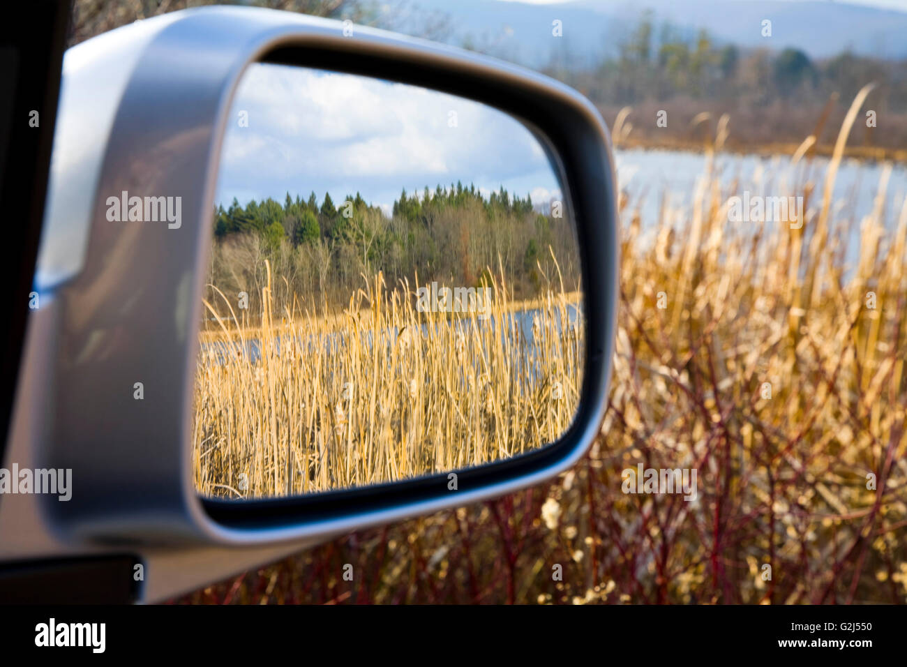Mirrors reflecting mirrors hi-res stock photography and images - Alamy