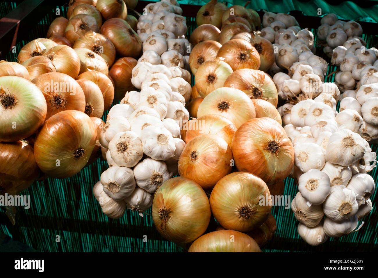 String of onions on white hi-res stock photography and images - Alamy