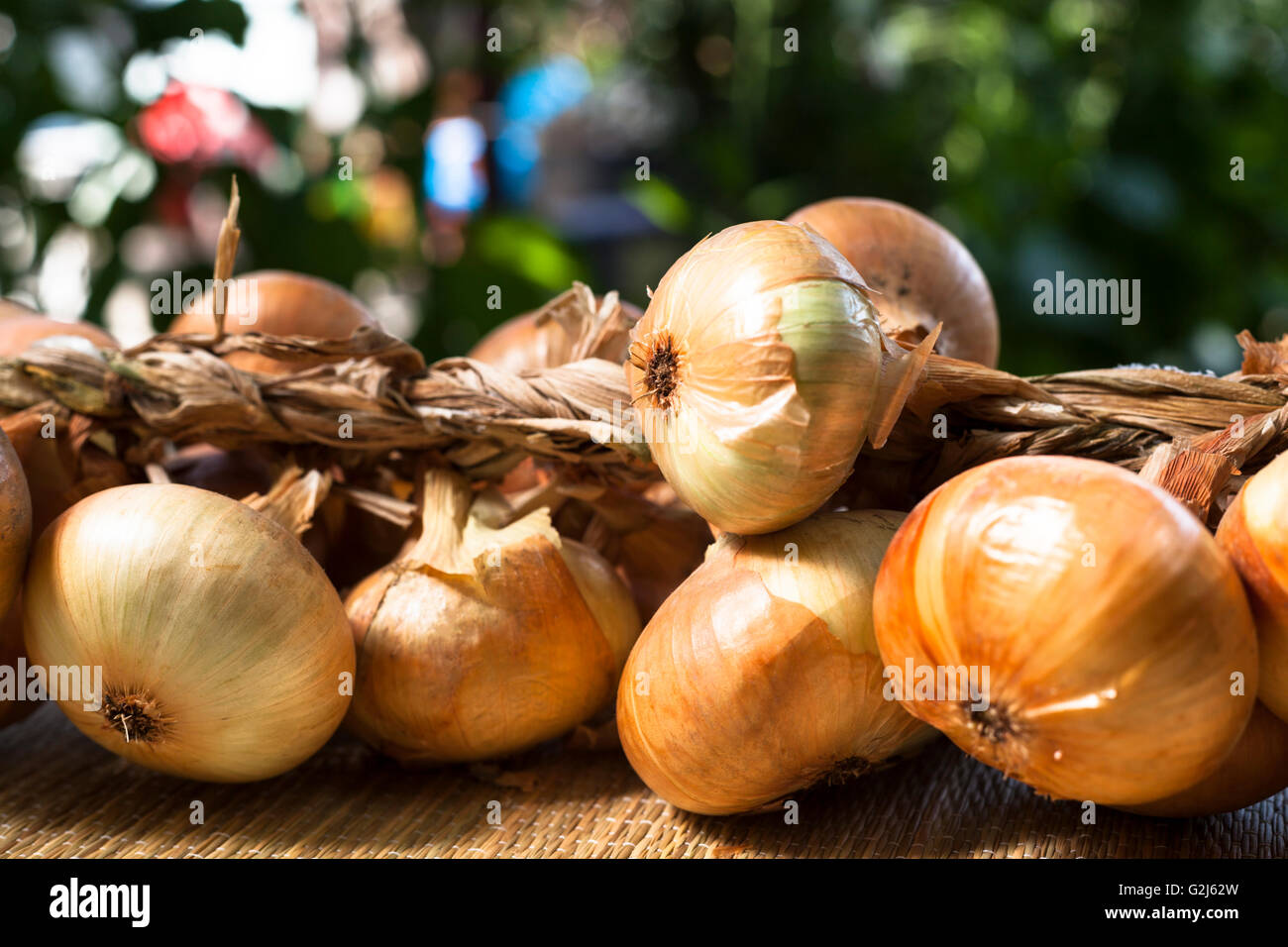 dry onion twisted on a rural scene Stock Photo - Alamy