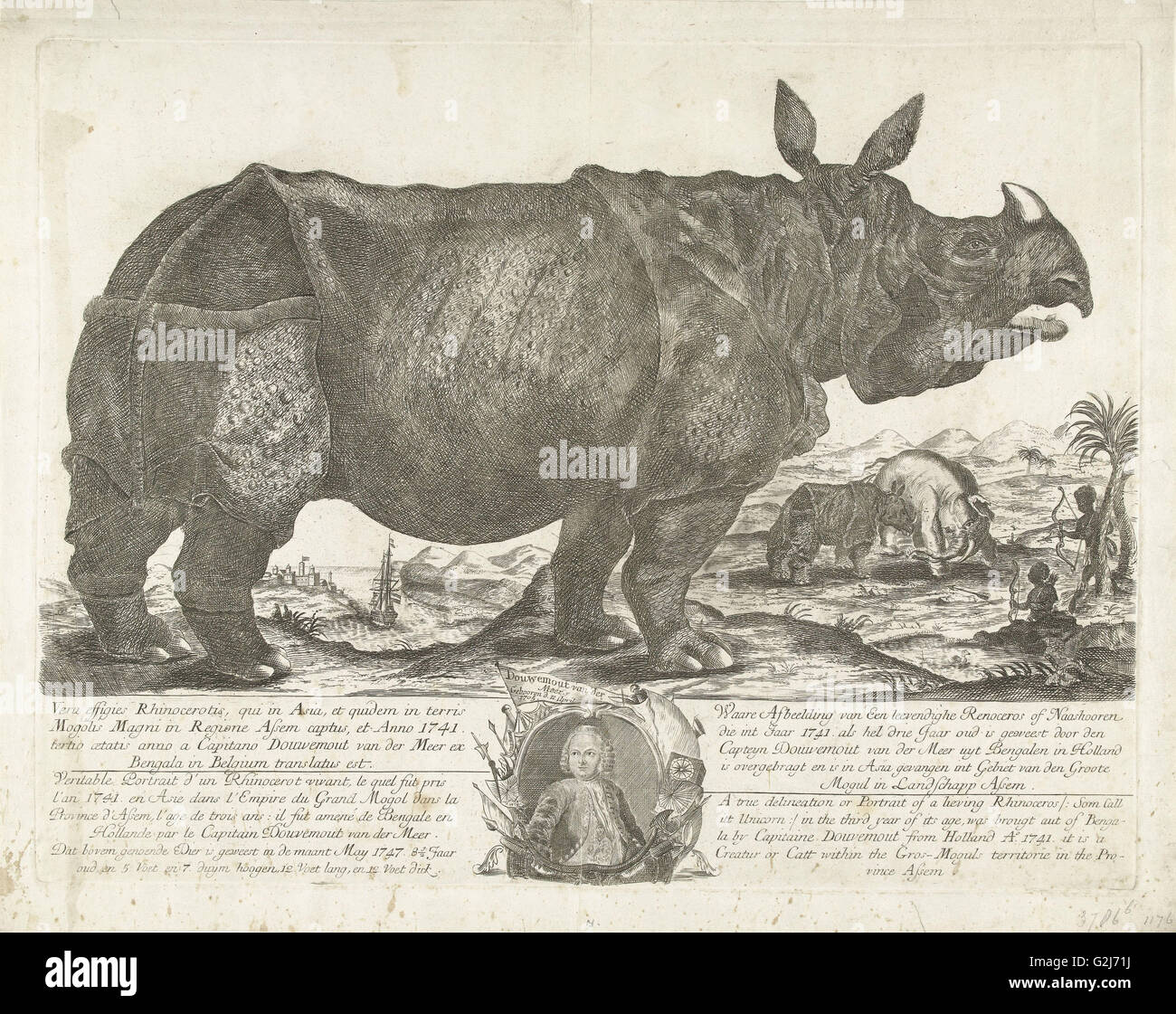 Rhino clara standing hi-res stock photography and images - Alamy