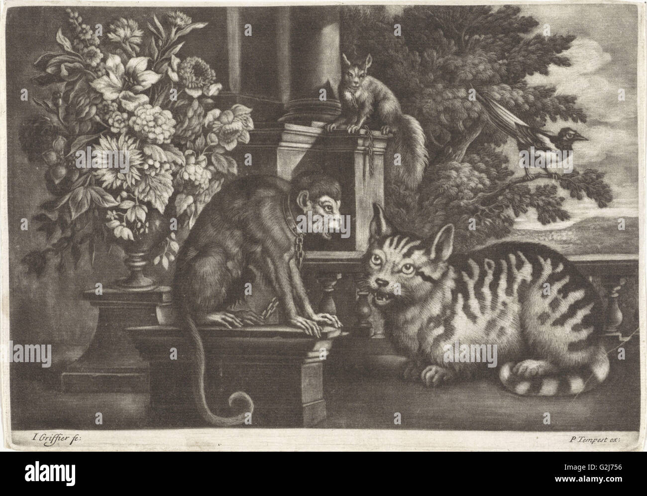 Monkey, cat, squirrel and magpie, Jan Griffier I, Francis Barlow ...