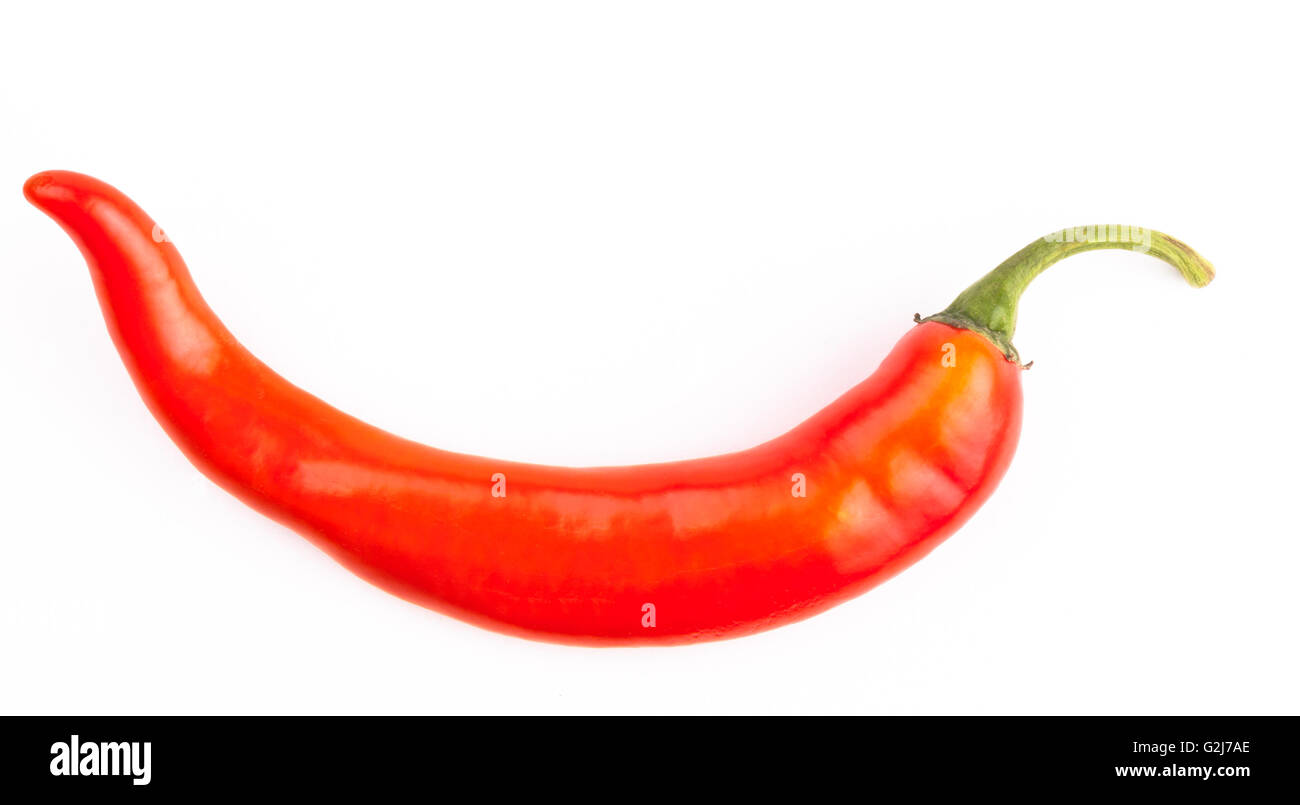 Single Red Hot Chilli Pepper isolated on white background Stock Photo ...