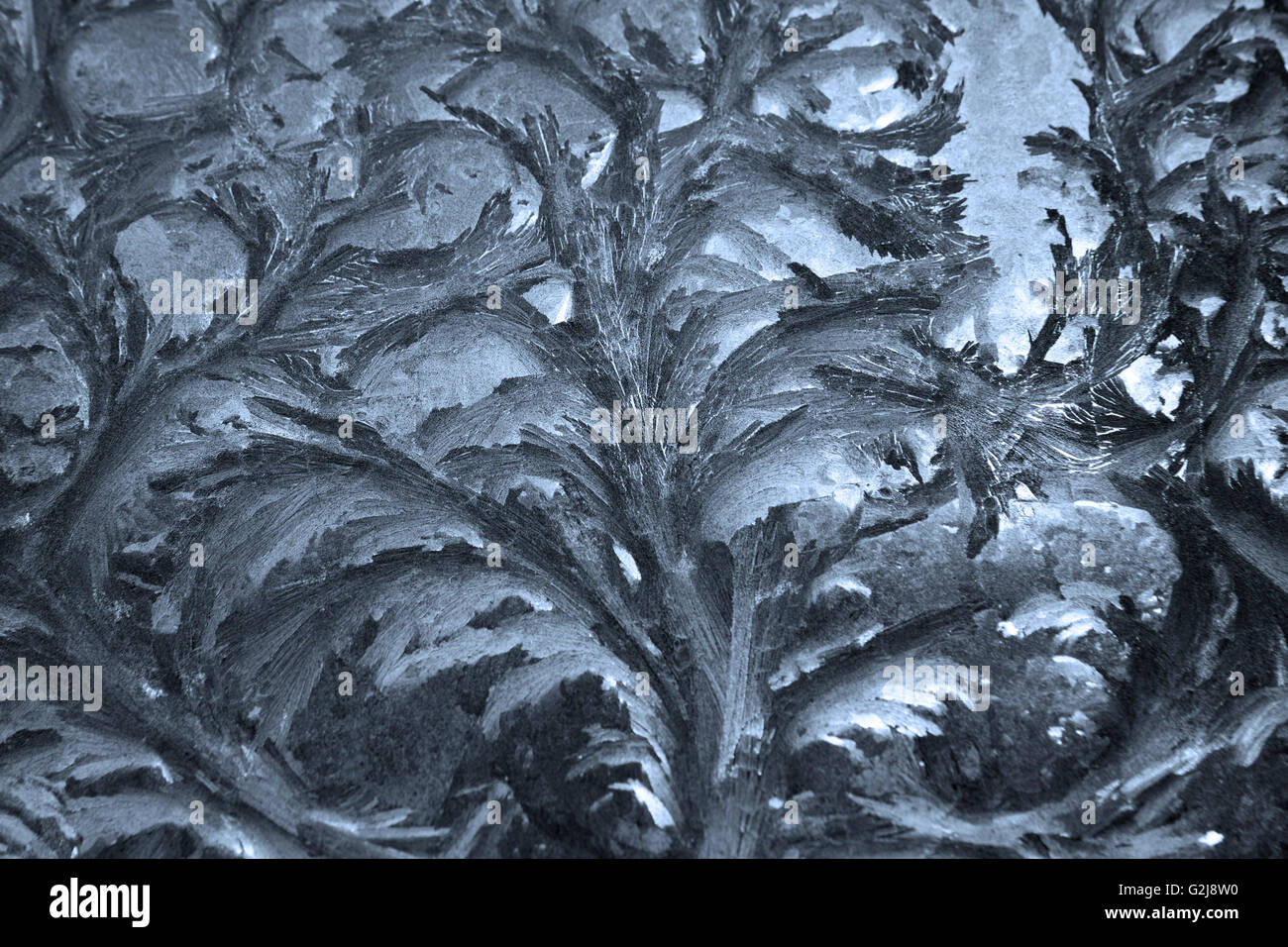 ice floral pattern on window in a cold winter day Stock Photo - Alamy