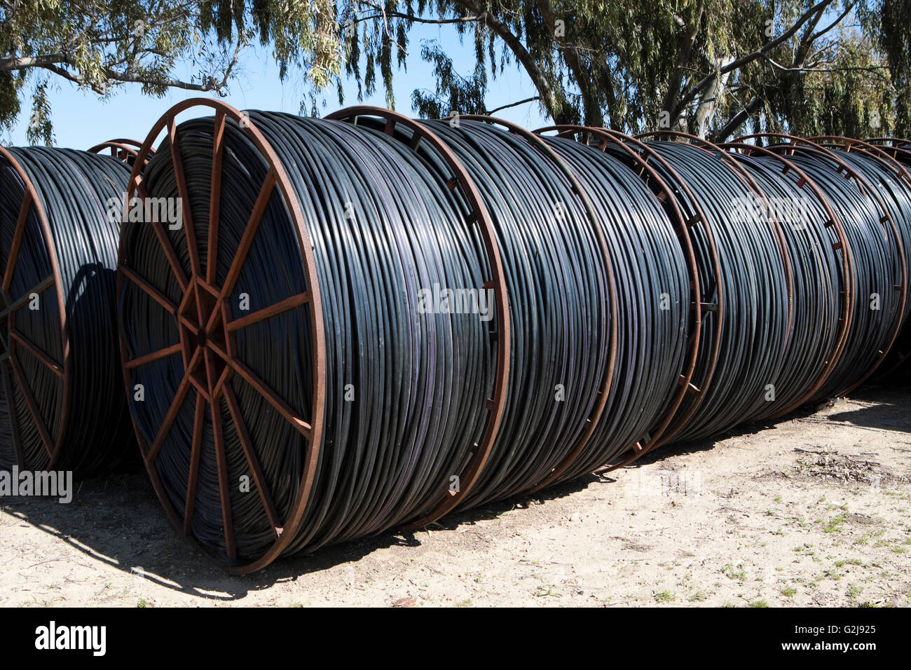 black irrigation hose round wrap with green wheat in the background ...