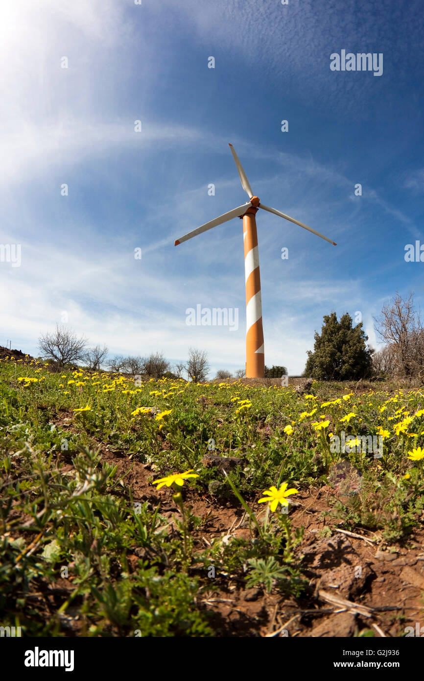 orange wind turbine with yelloy flowers and blue sky Stock Photo - Alamy