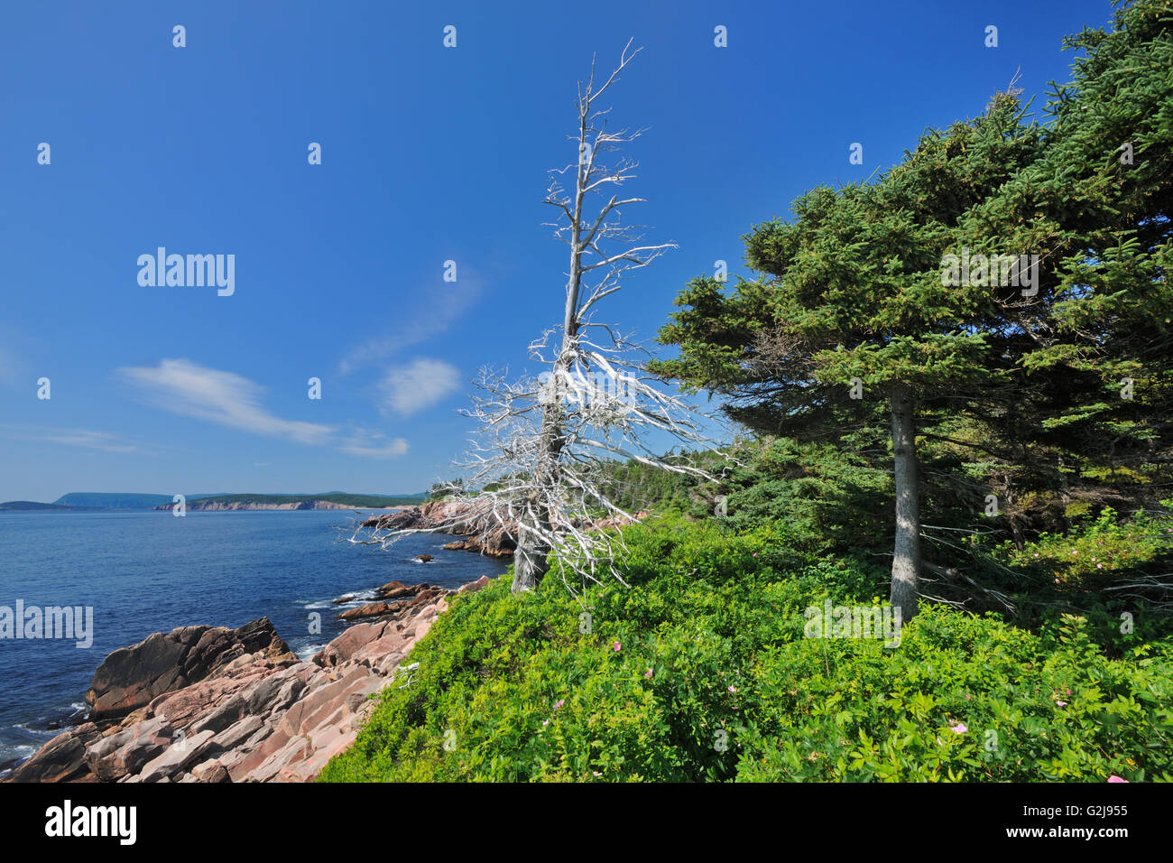 Shoreline trail hi-res stock photography and images - Alamy