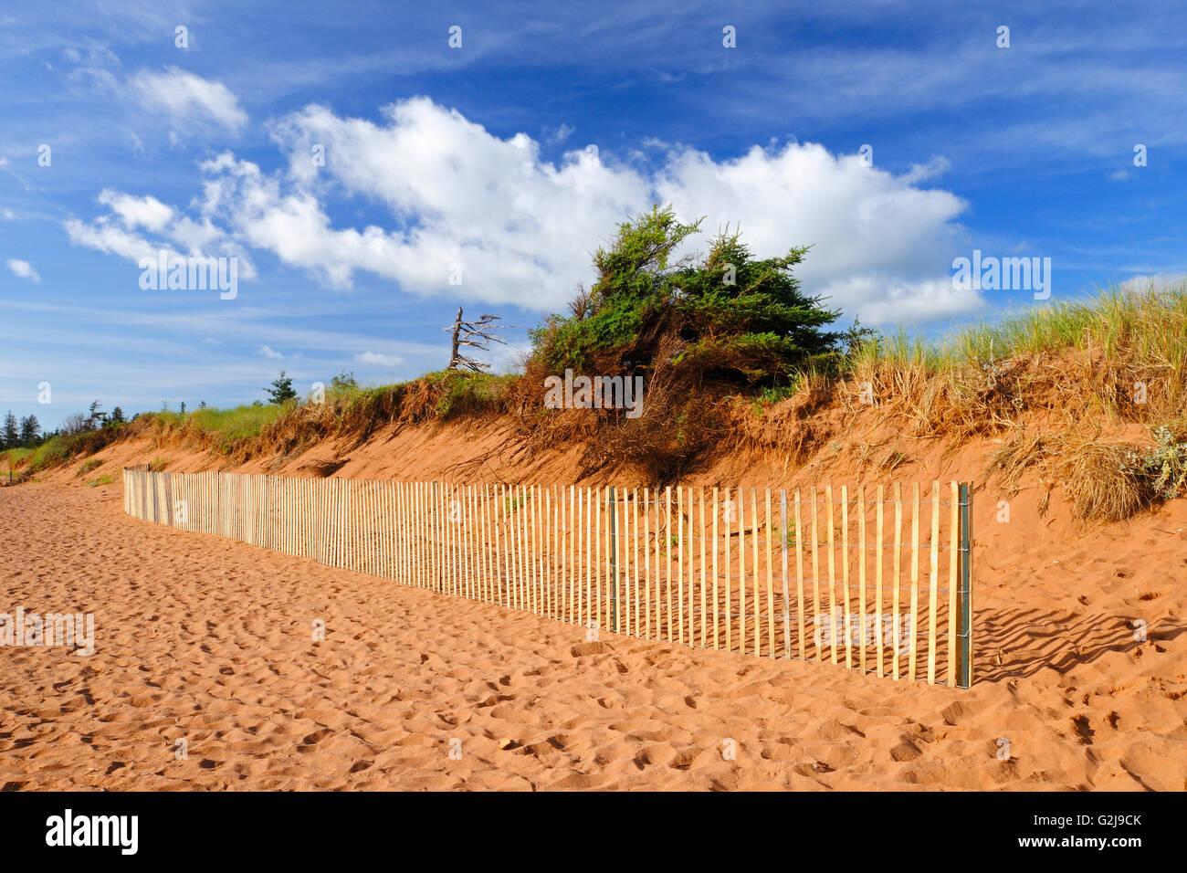 Sandy beach along the dunes with fence Stock Photo - Alamy