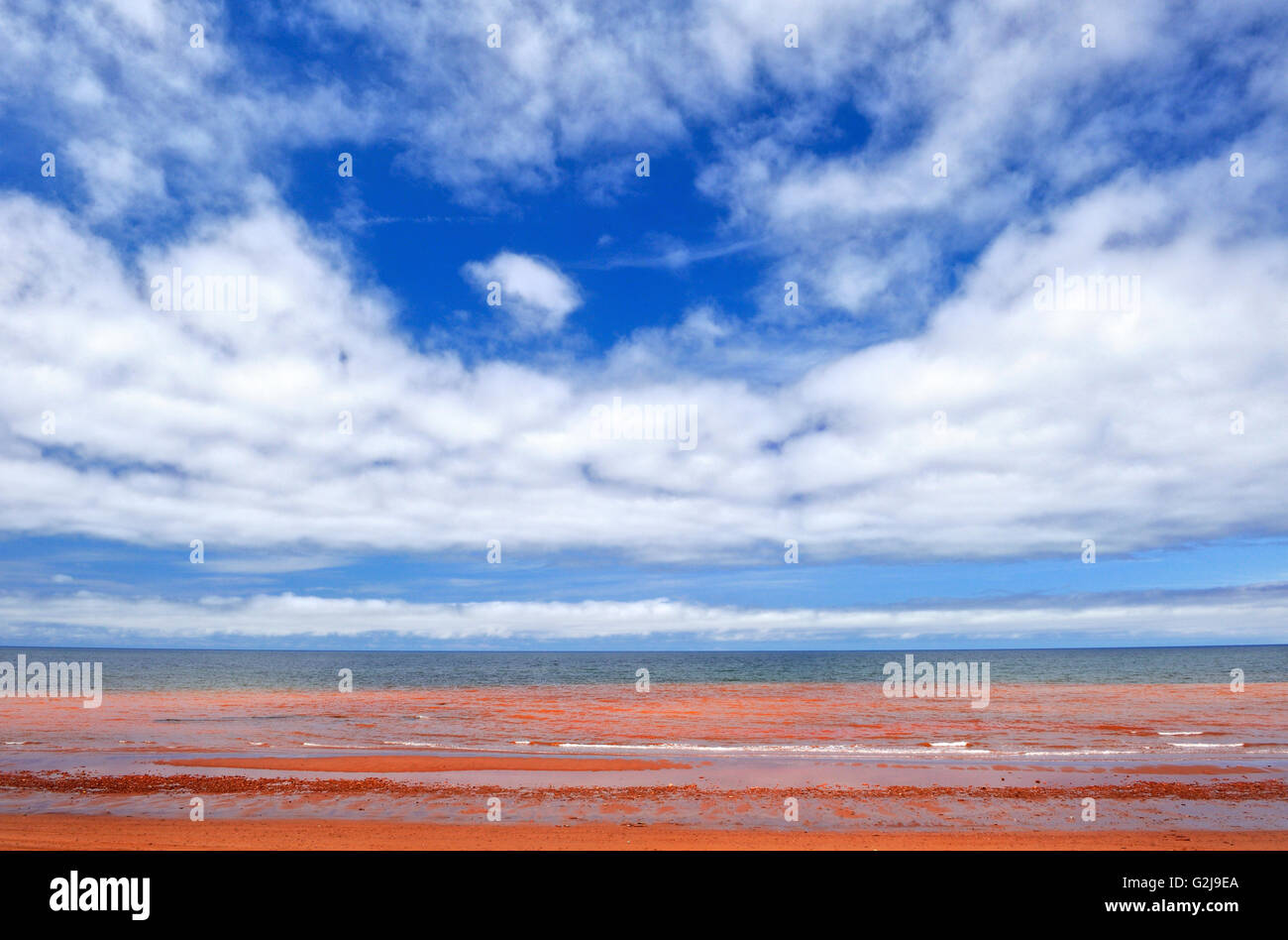 Red sandy beach and clouds. Northumberland Strait Stock Photo - Alamy