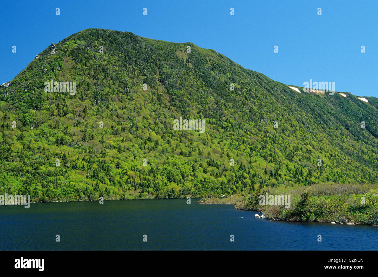 Codroy hi-res stock photography and images - Alamy