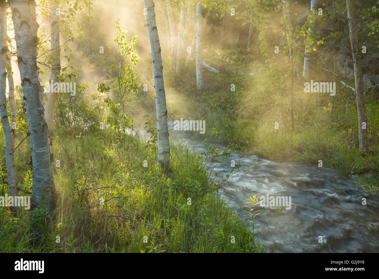 Early rising hi-res stock photography and images - Alamy