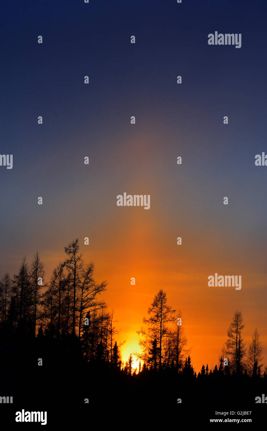 Sun pillar at sunset in the boreal forest, Mattice, Ontario, Canada ...