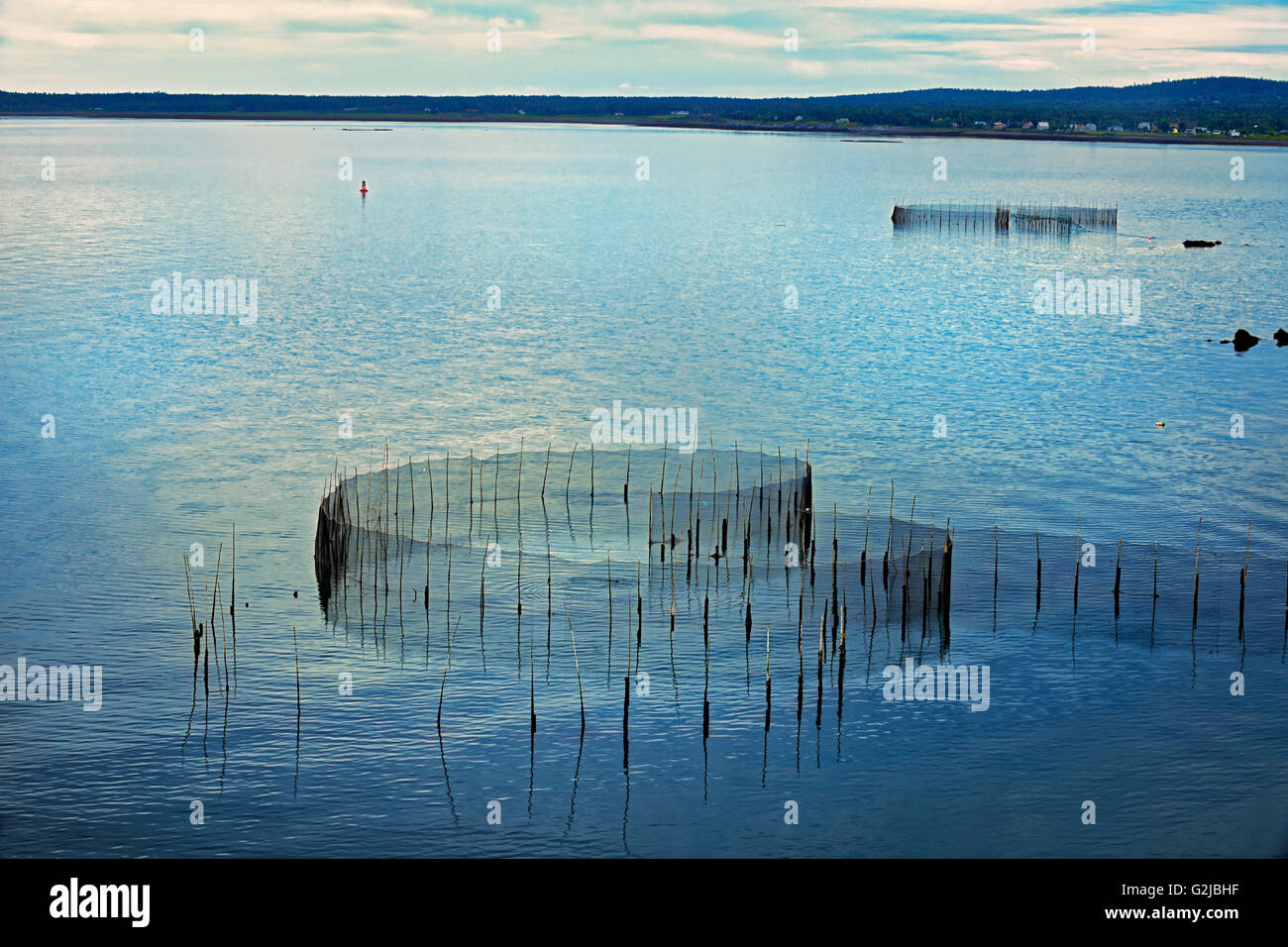 Fish farming hi-res stock photography and images - Alamy