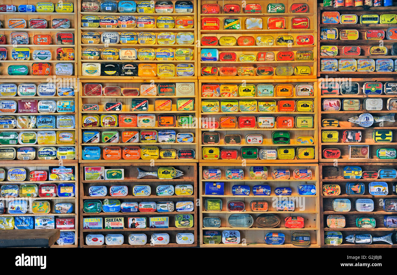 Sardine cans in museum seal hi-res stock photography and images - Alamy
