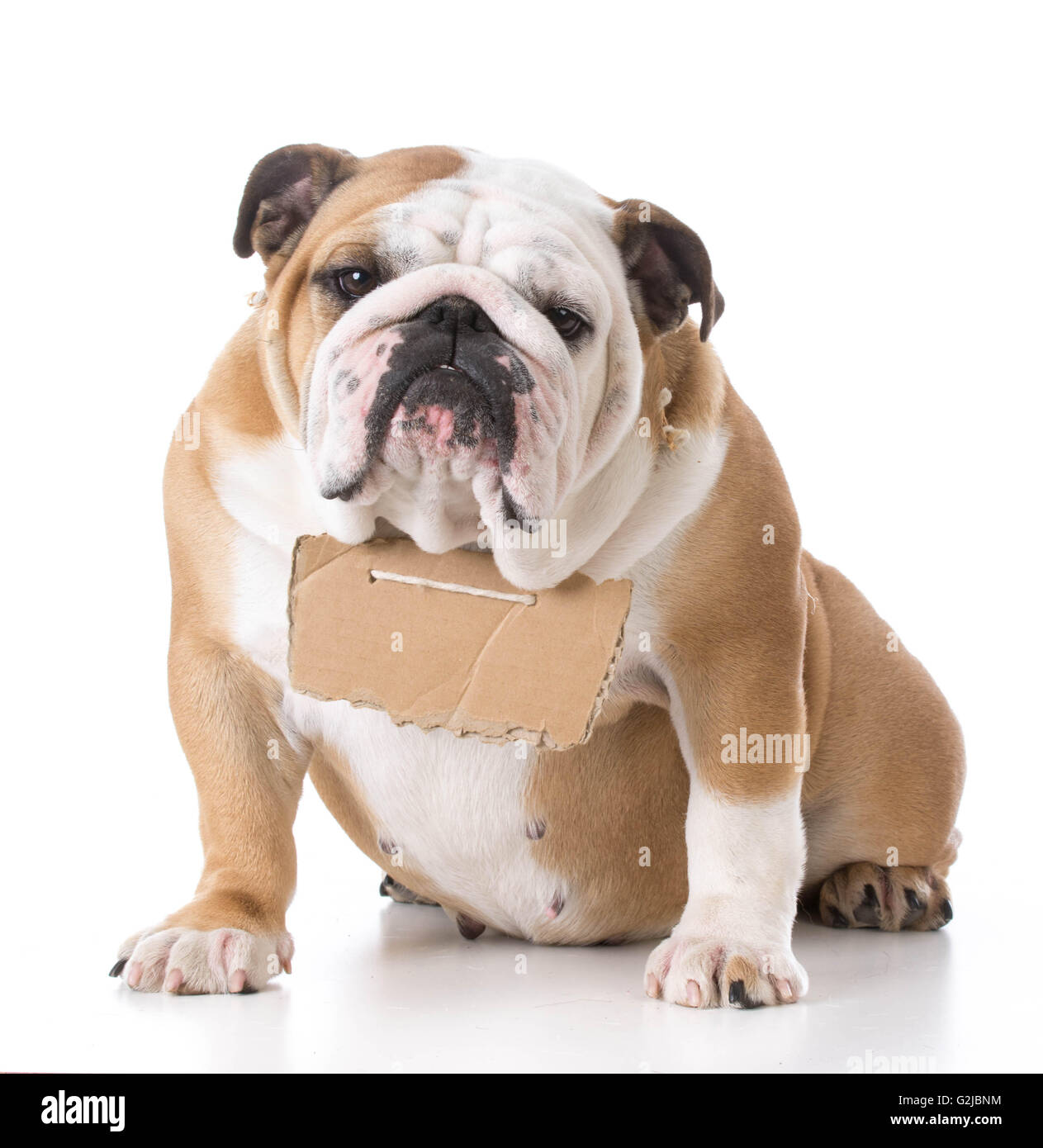 Sign Around Neck High Resolution Stock Photography and Images - Alamy