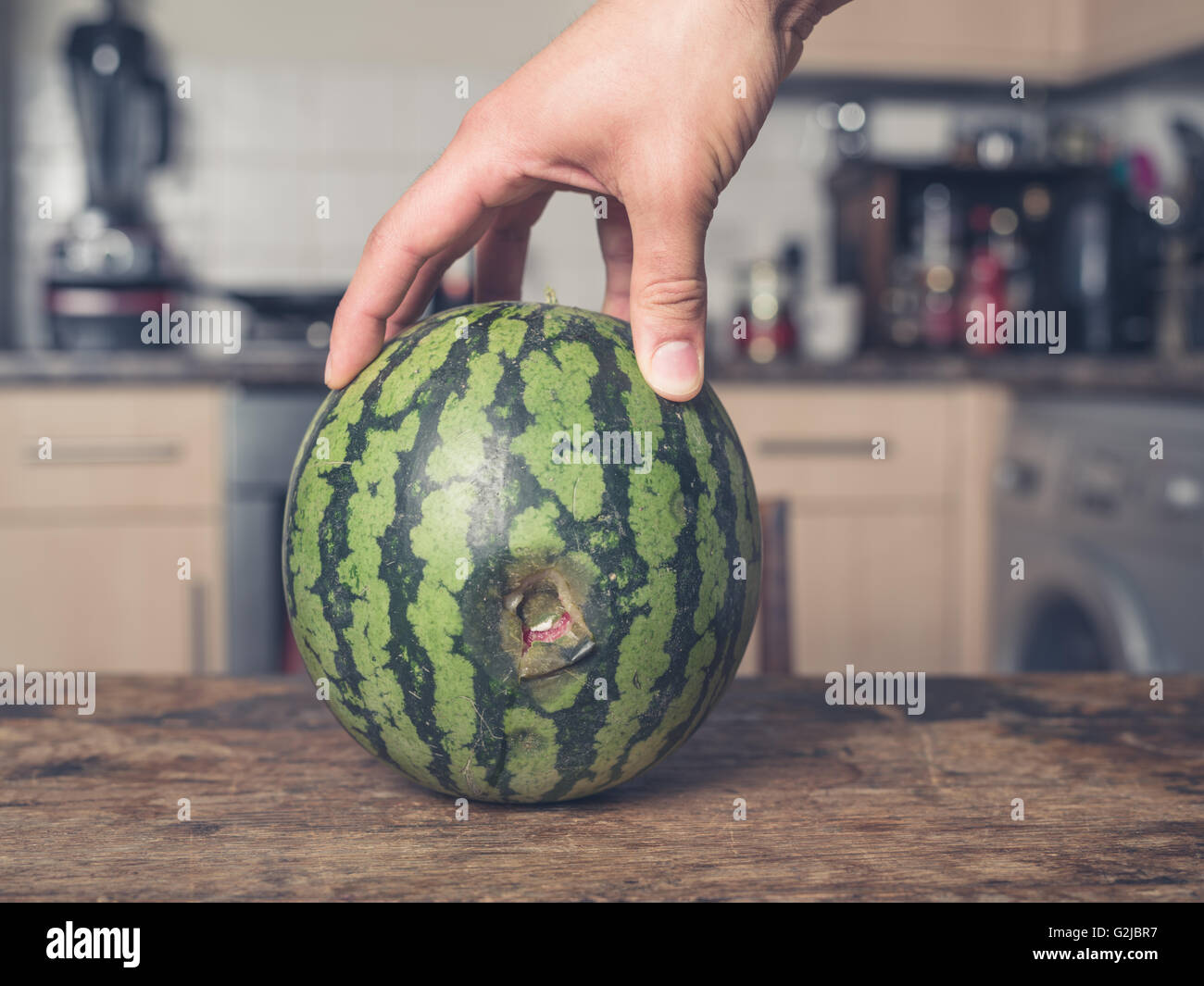 A male hand is touching a rotten watermelon with a hole in it in a ...