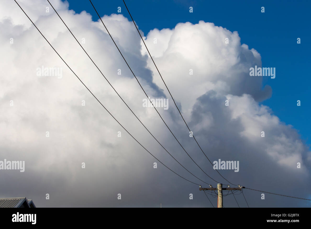 Suburban power lines and pole with fluffy white cumulus cloud ...