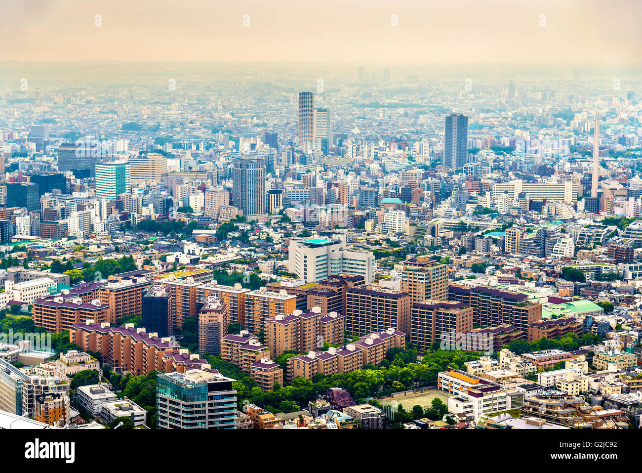 Aerial view of Tokyo Stock Photo - Alamy