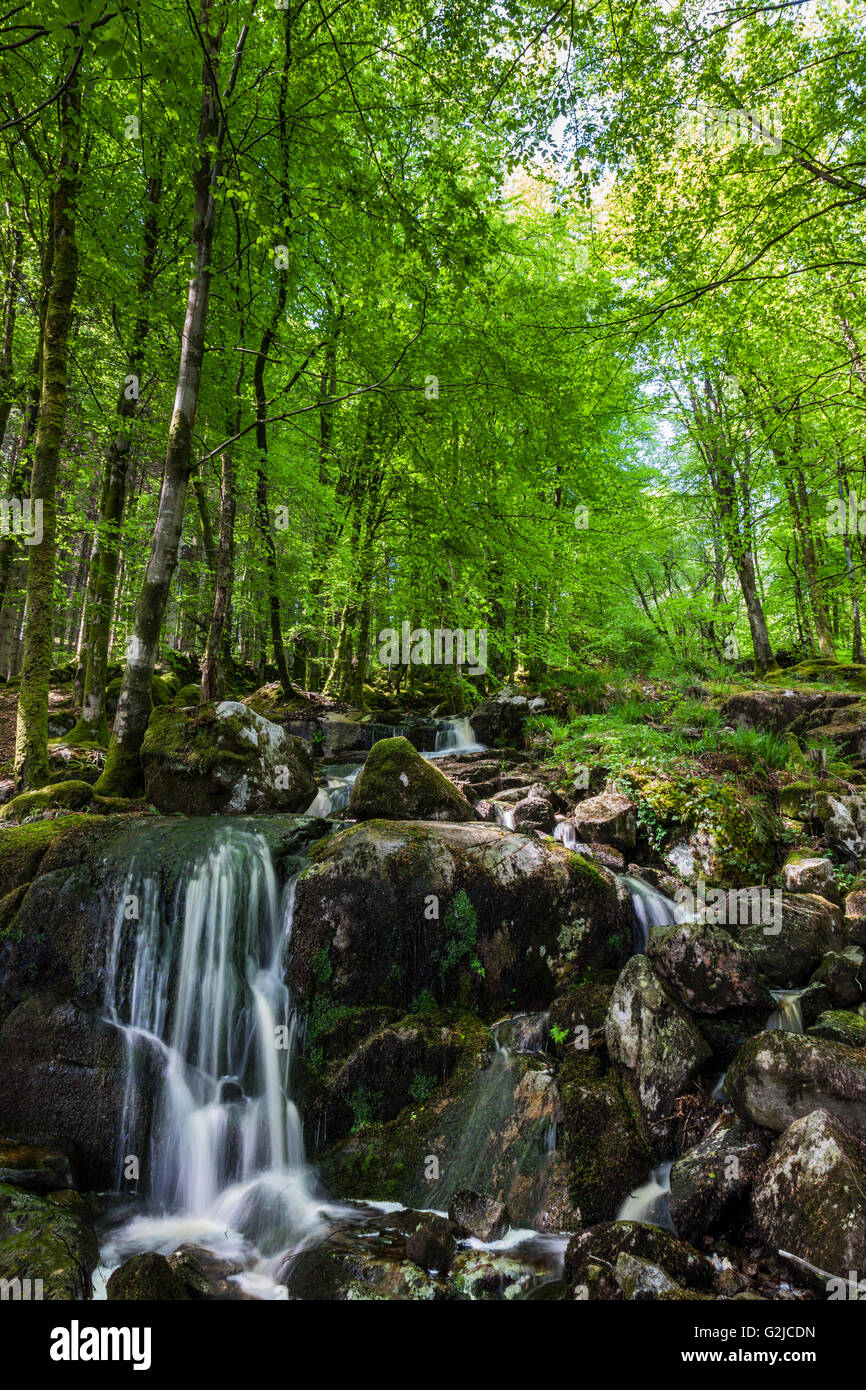 Lowran Burn dropping over rocks near Loch Ken, Castle Douglas, Dumfries ...