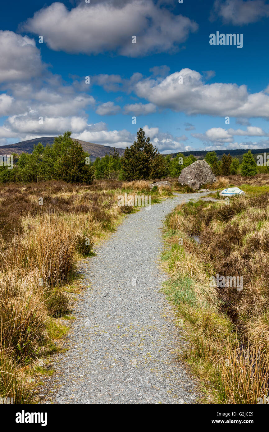Bruce’s stone hi-res stock photography and images - Alamy