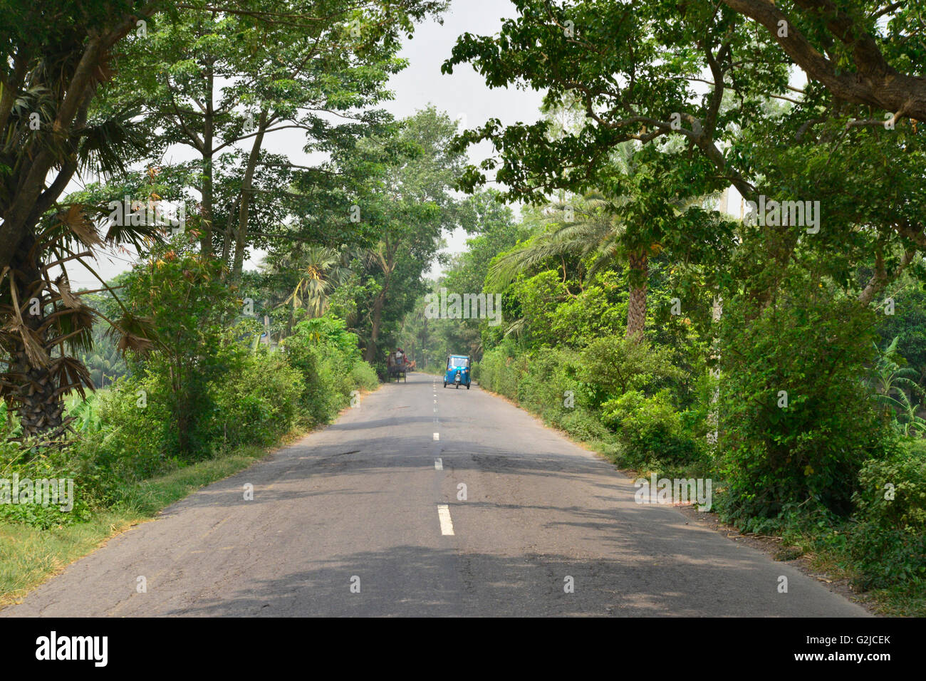 A street view of rural area in Bangladesh Stock Photo - Alamy