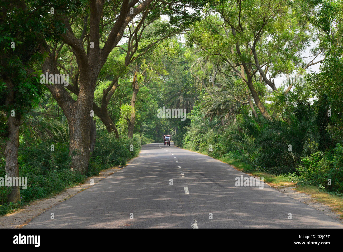 A street view of rural area in Bangladesh Stock Photo - Alamy