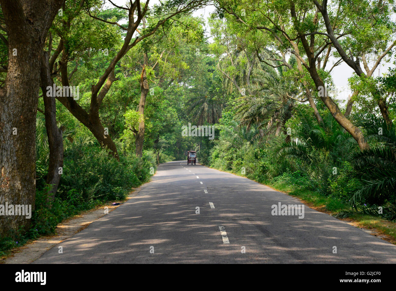 A street view of rural area in Bangladesh Stock Photo - Alamy