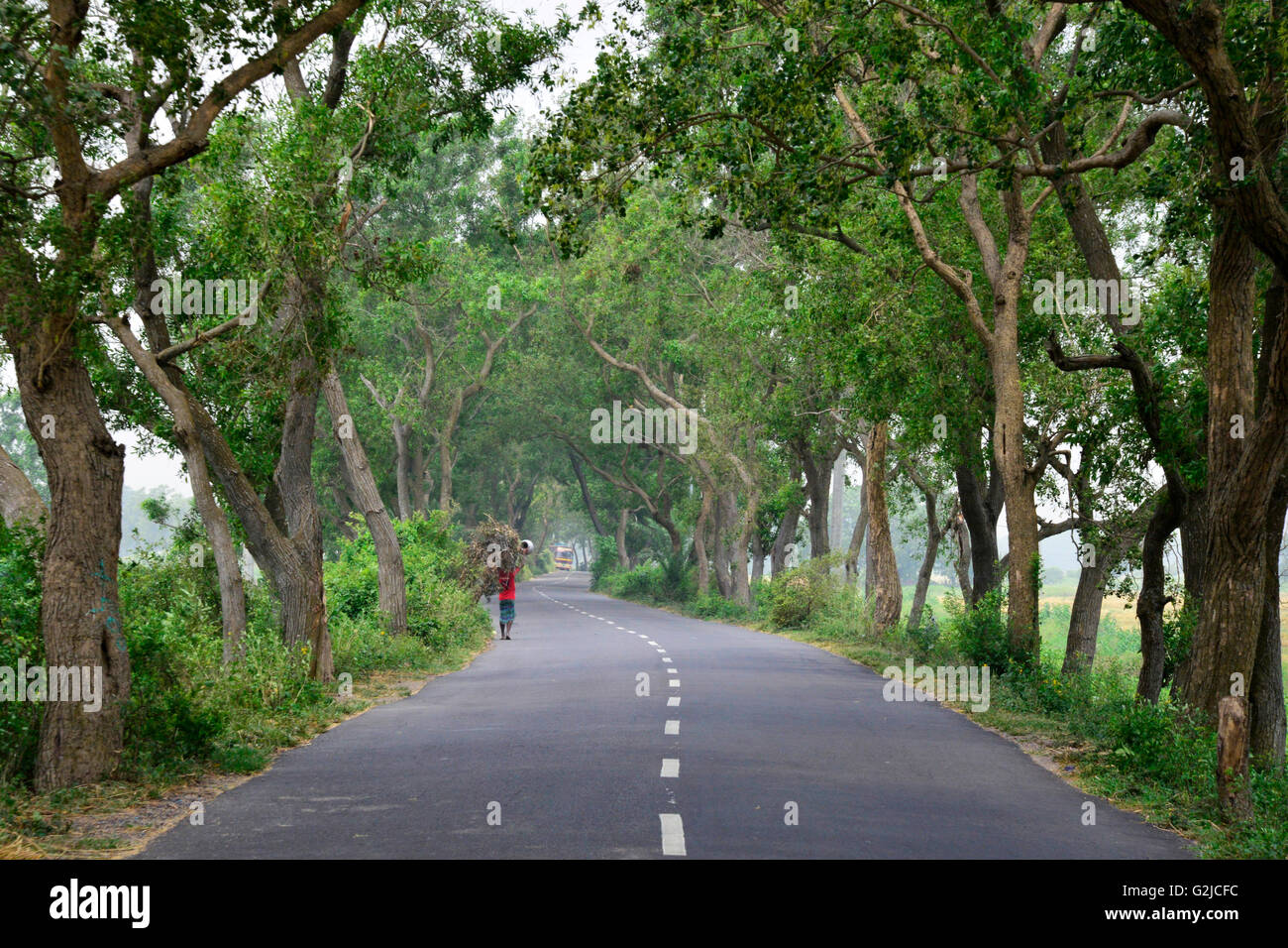A street view of rural area in Bangladesh Stock Photo - Alamy