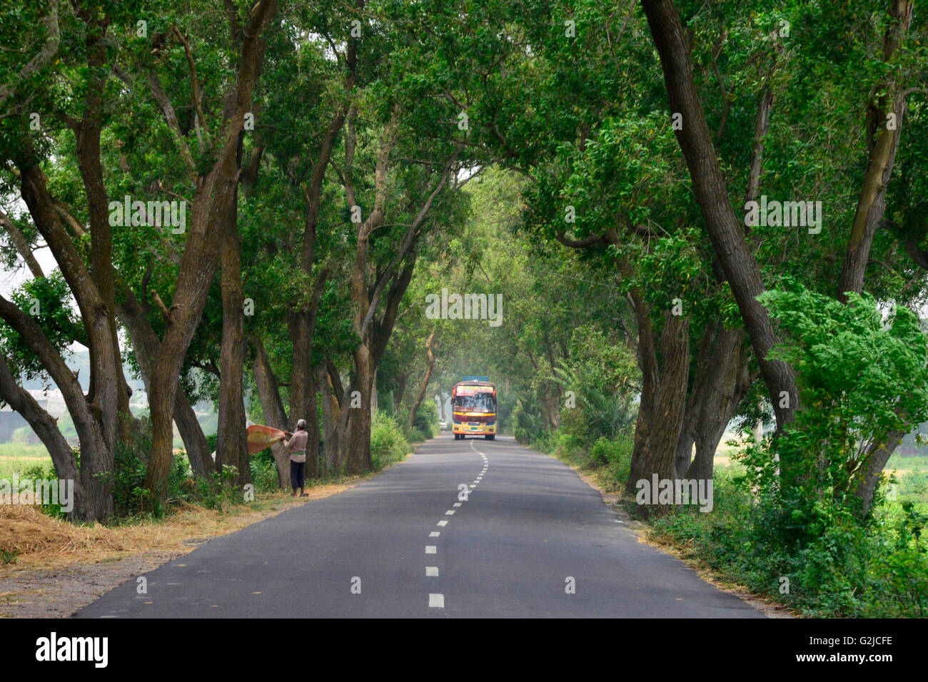 A street view of rural area in Bangladesh Stock Photo - Alamy