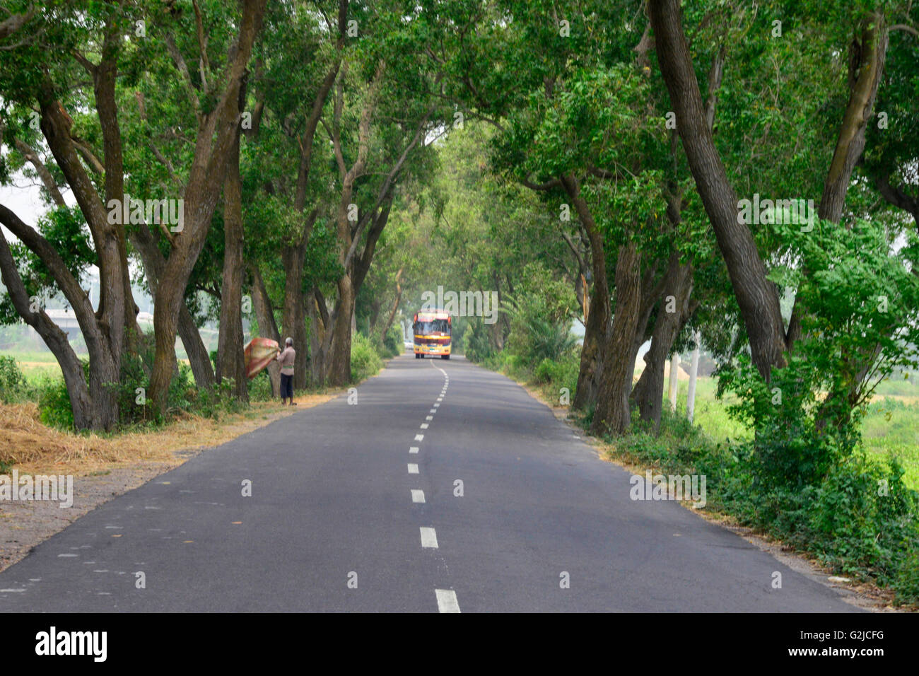 Bangladesh rural village hi-res stock photography and images - Alamy