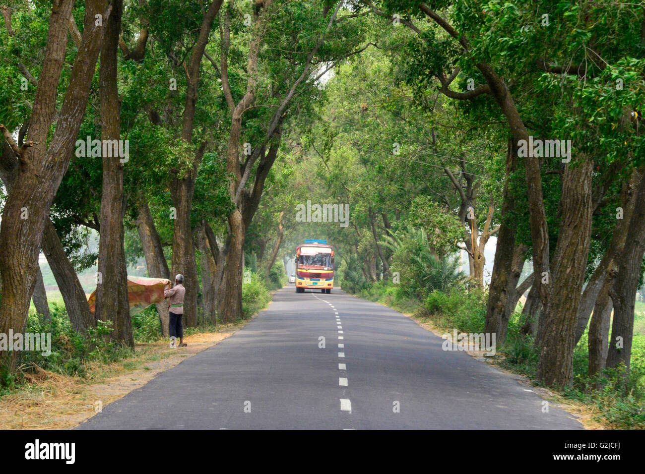 A street view of rural area in Bangladesh Stock Photo - Alamy