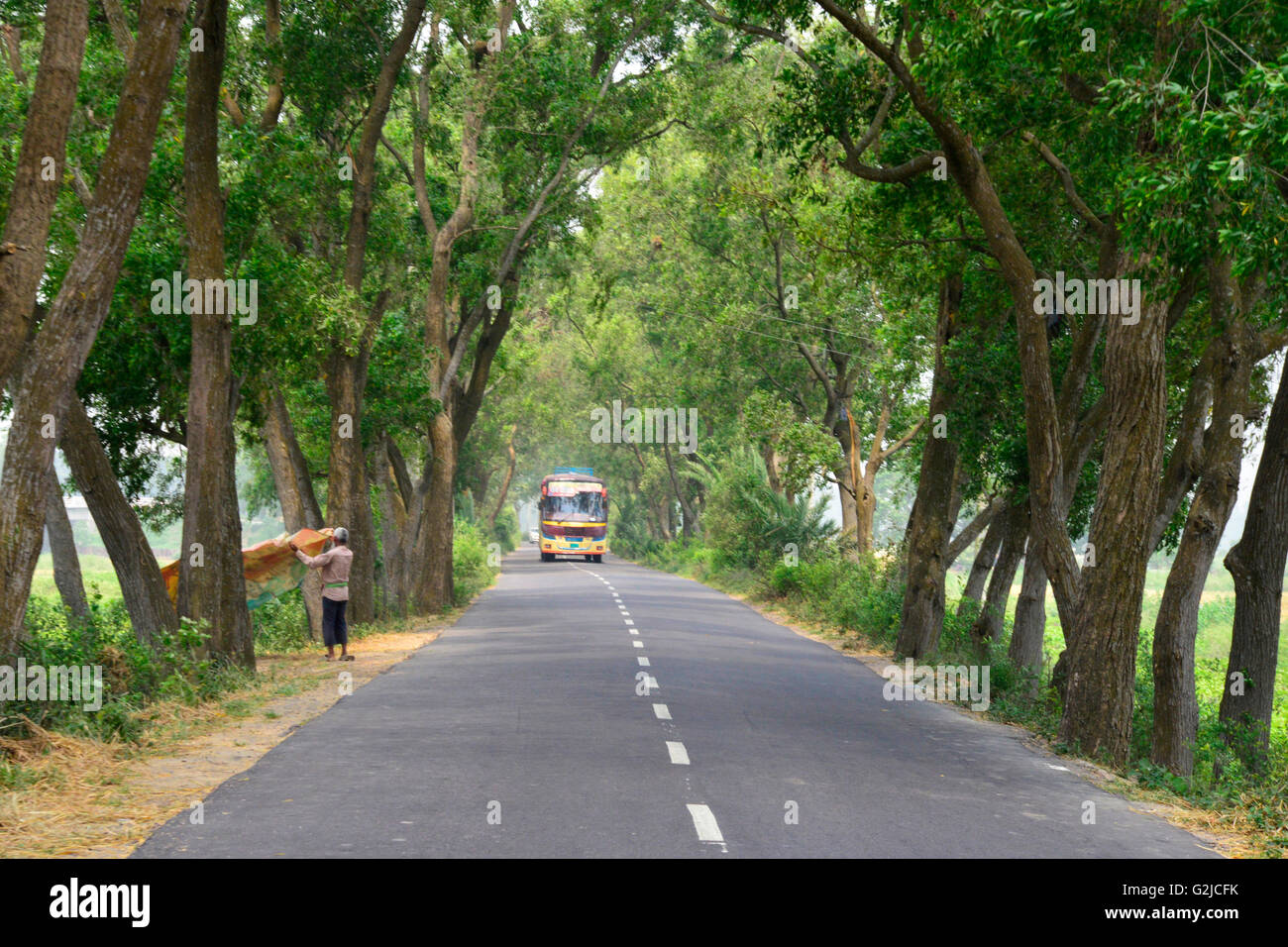 A street view of rural area in Bangladesh Stock Photo - Alamy