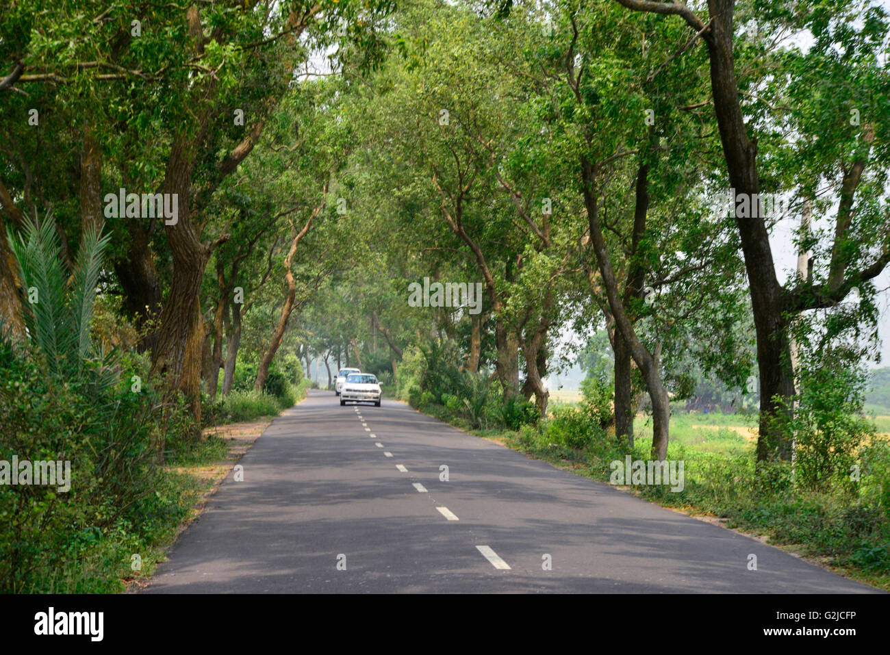 A street view of rural area in Bangladesh Stock Photo - Alamy