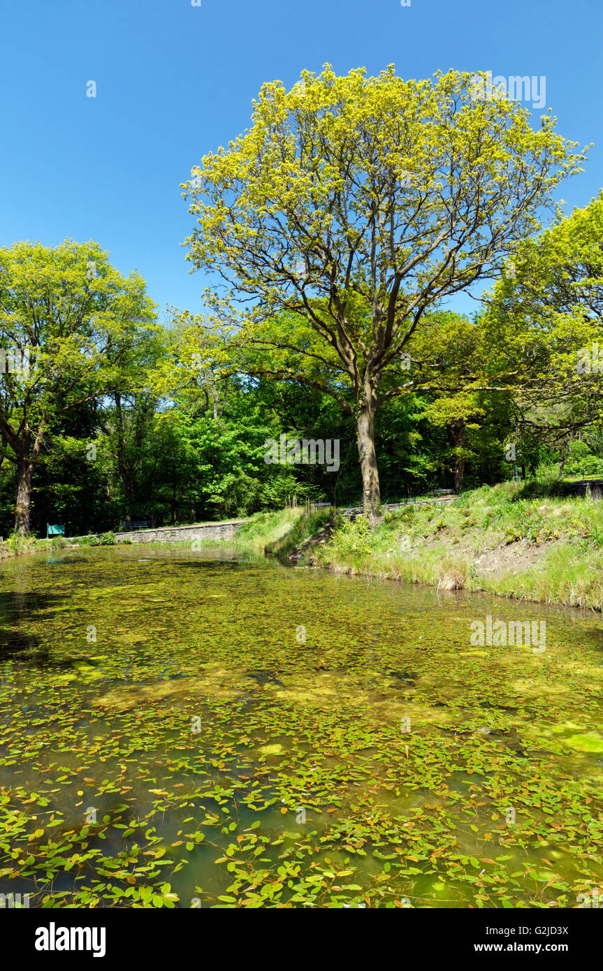 Cyfarthfa hi-res stock photography and images - Alamy