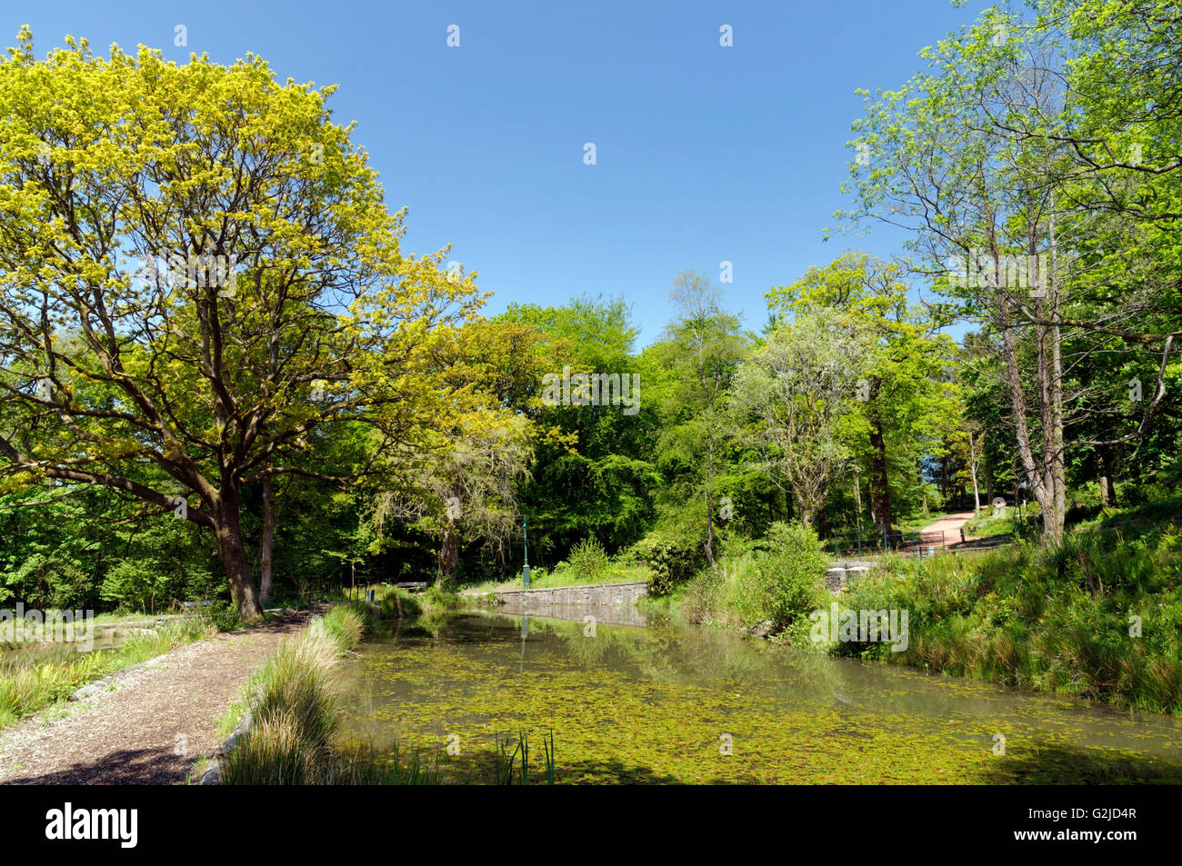 Cyfarthfa hi-res stock photography and images - Alamy
