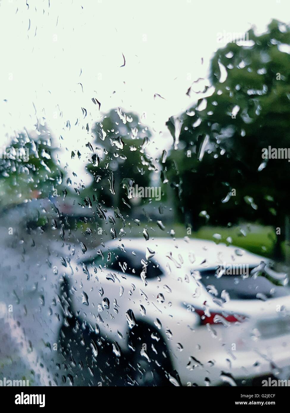 Car from behind white background hi-res stock photography and images ...