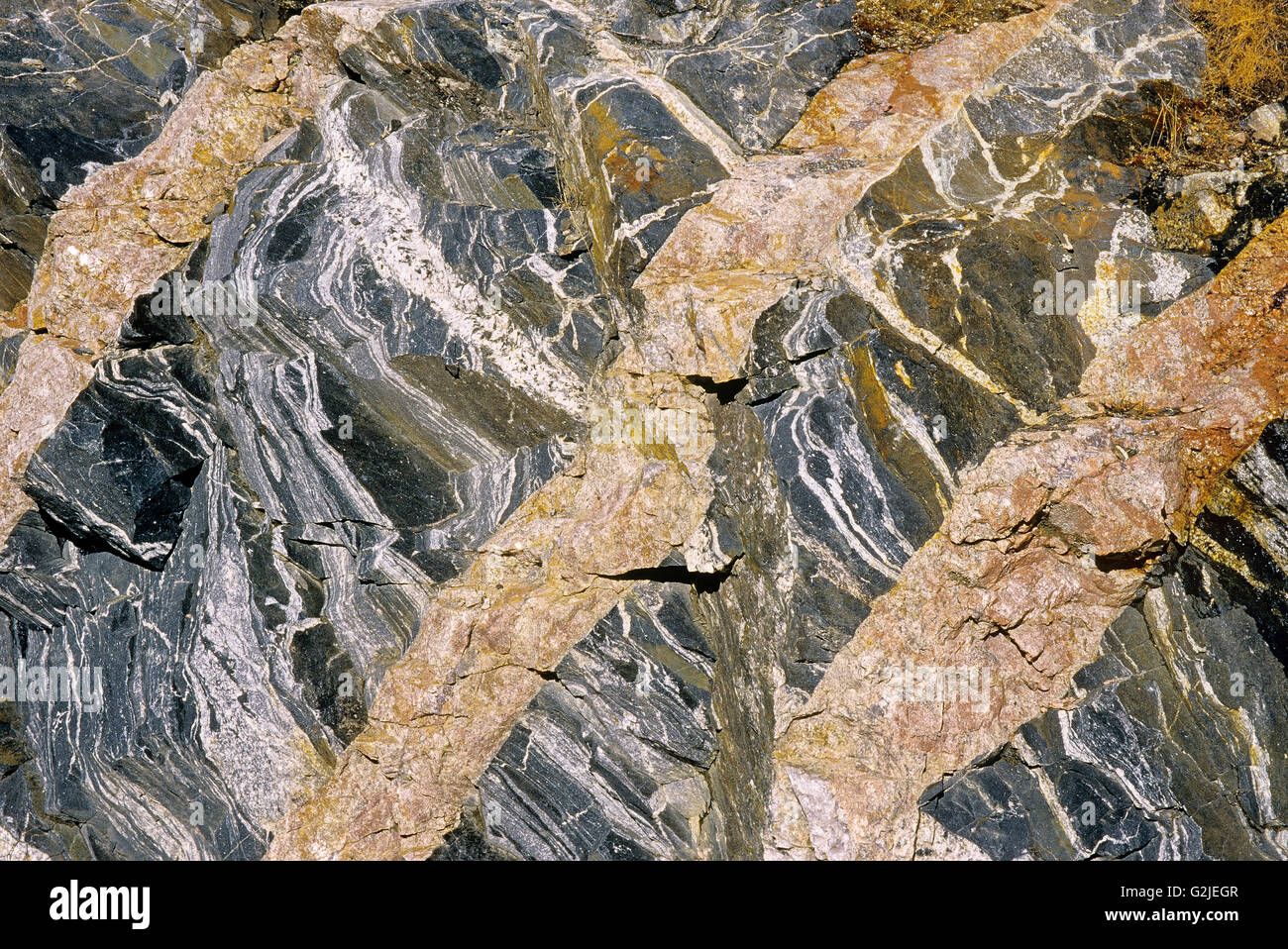Detail of veins in rock Schreiber Ontario Canada Stock Photo - Alamy