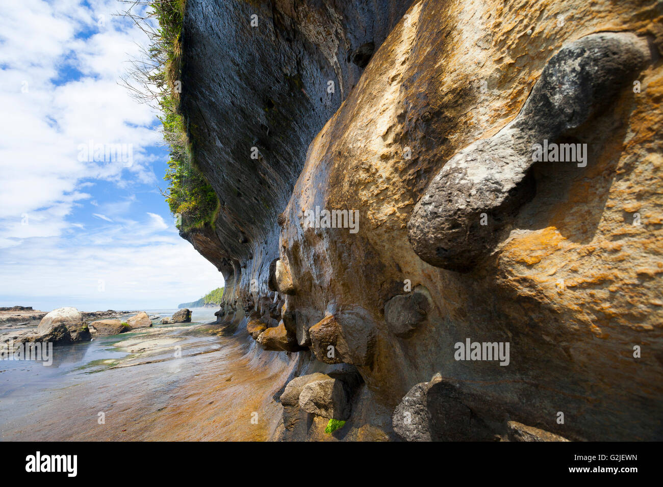 Sandstone cliffs along the shoreline of the West Coast Trail. Pacific ...