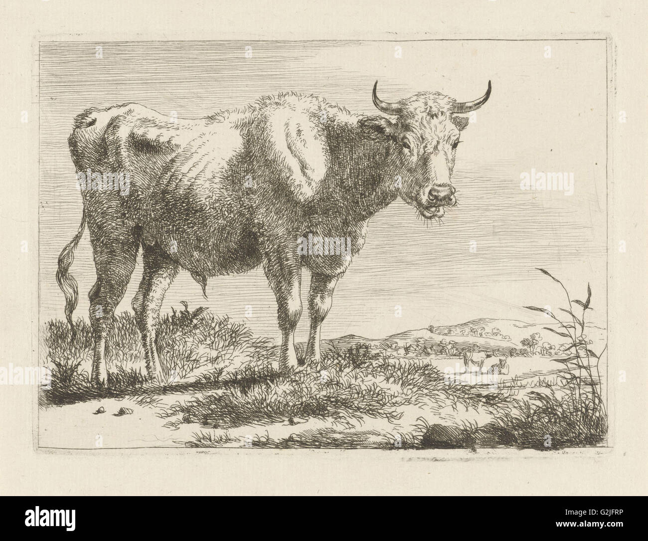 Pieter gerardus hi-res stock photography and images - Alamy