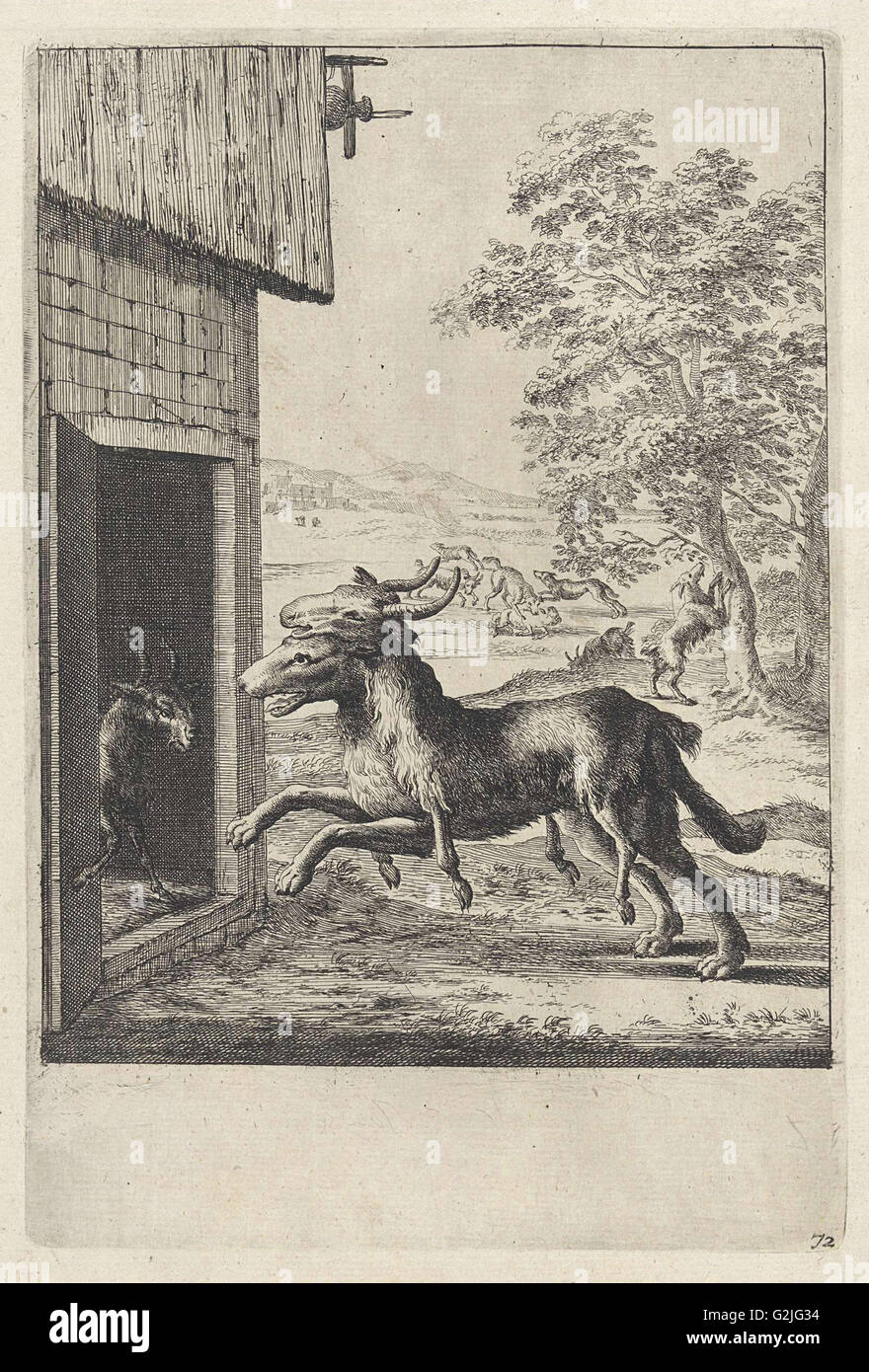 Wolf and goat hi-res stock photography and images - Alamy