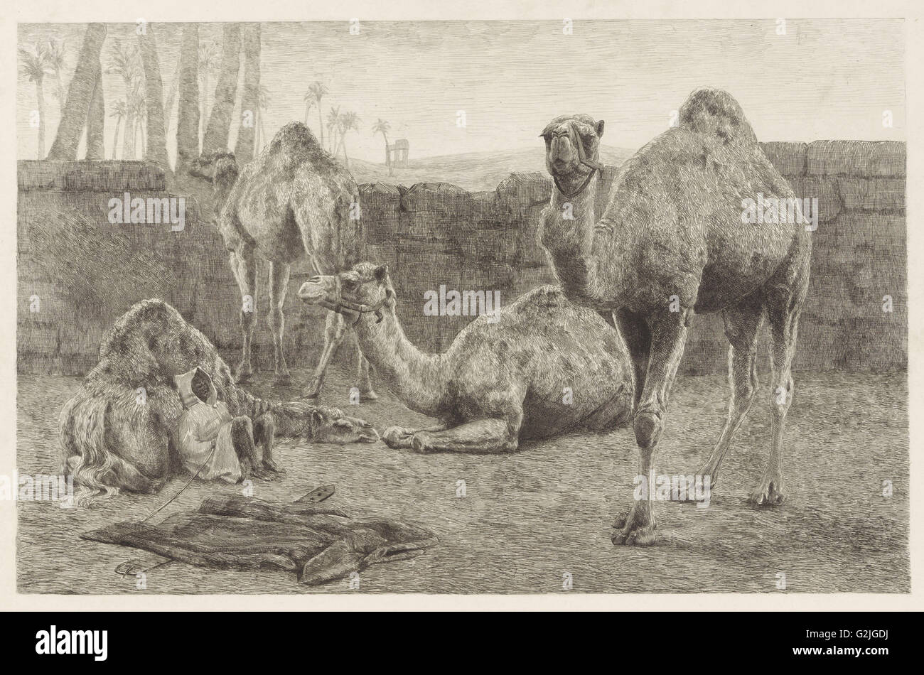 August le gras hi-res stock photography and images - Alamy