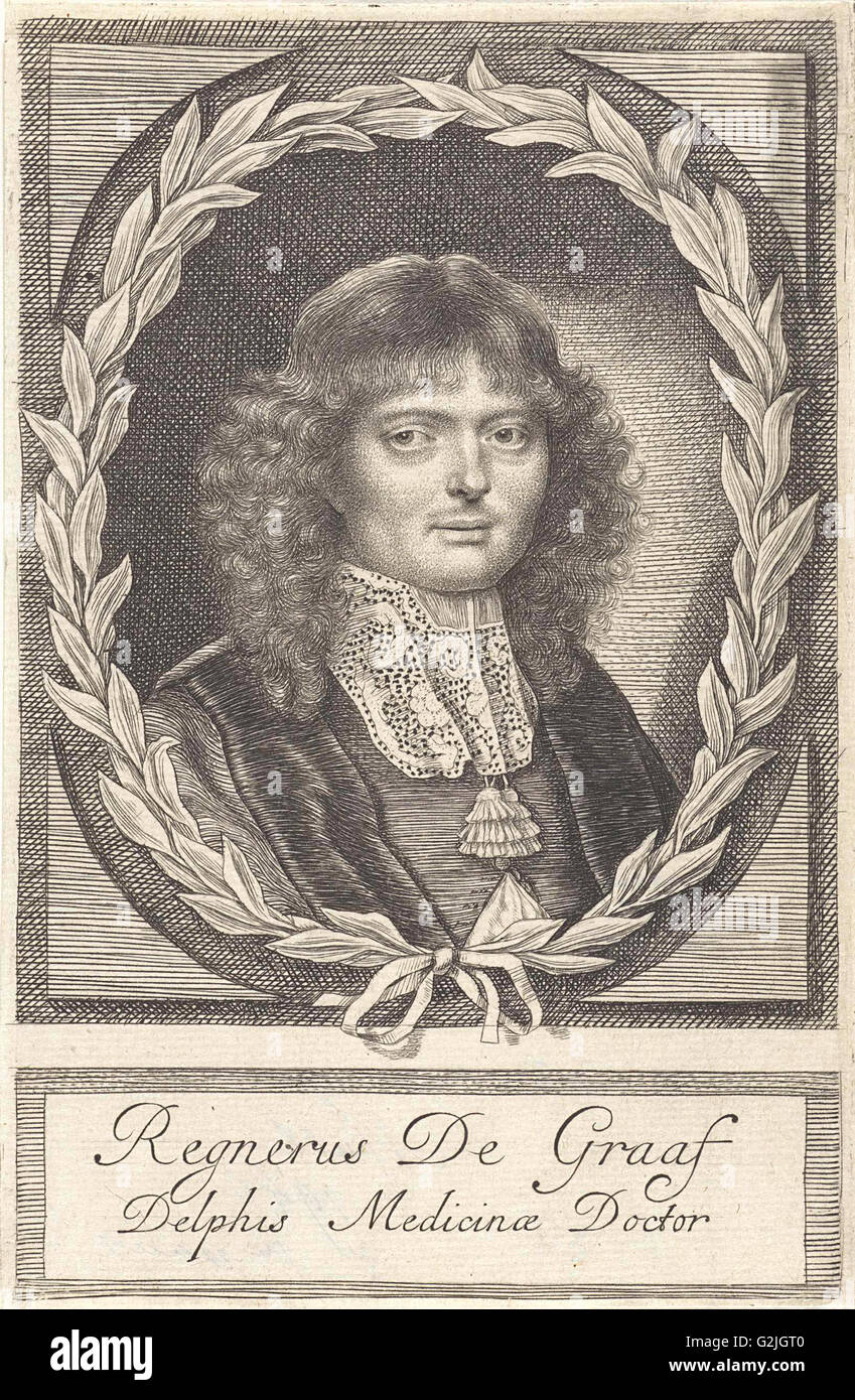 Anatomist reinier de graaf hi-res stock photography and images - Alamy
