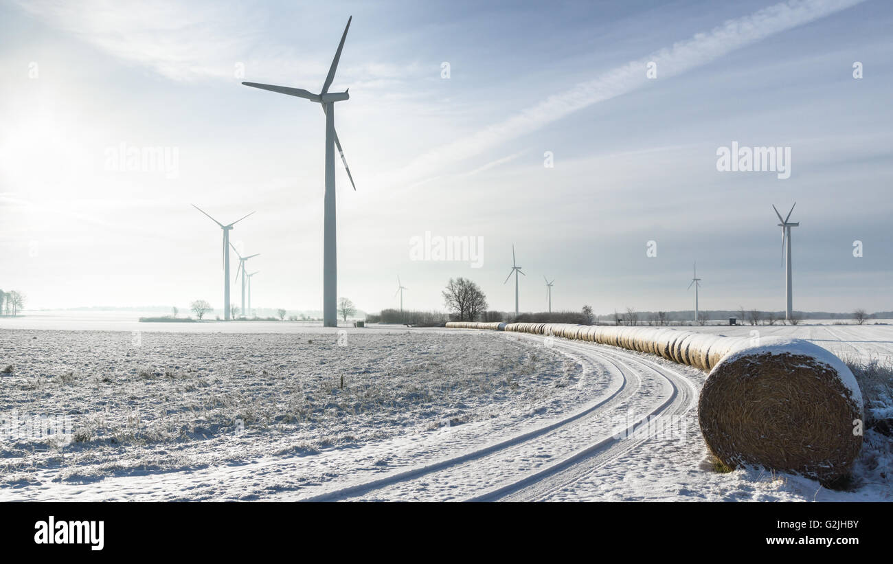 Field with Wind Turbines on a cold winter Day Stock Photo - Alamy