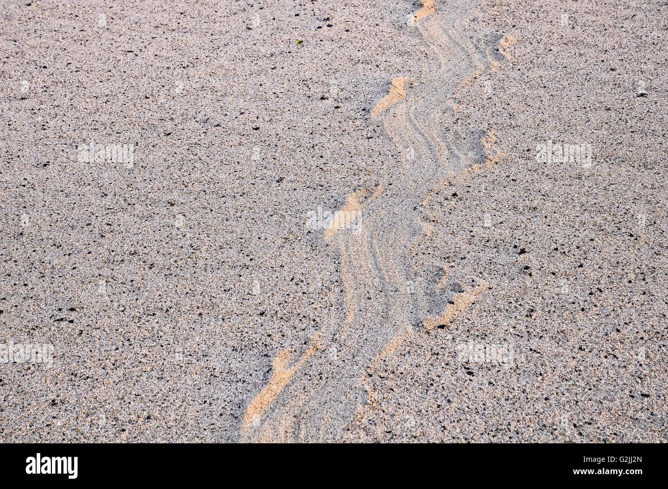 Snake tracks hi-res stock photography and images - Alamy