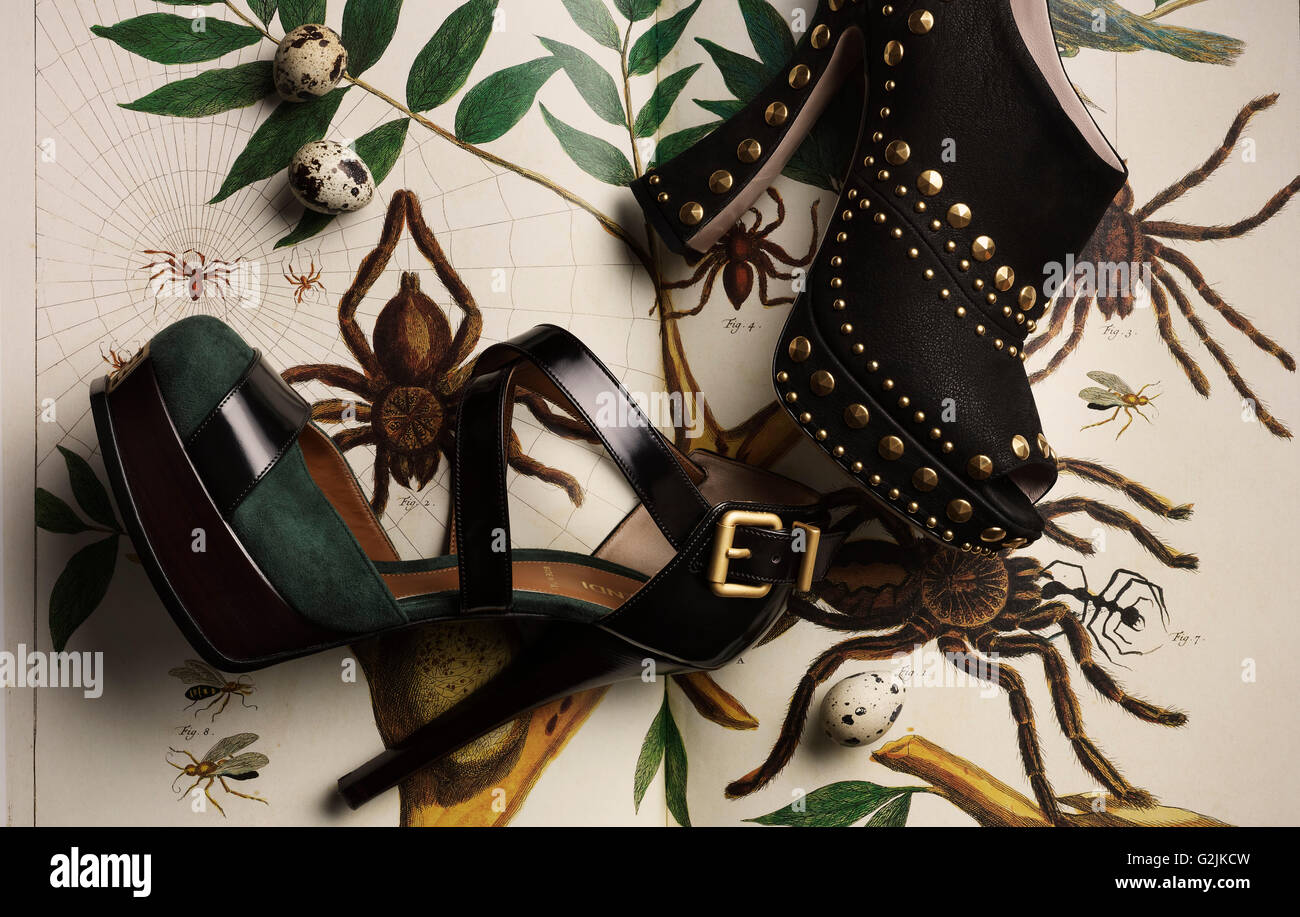 Two High Heel Shoes on Spiders Stock Photo - Alamy