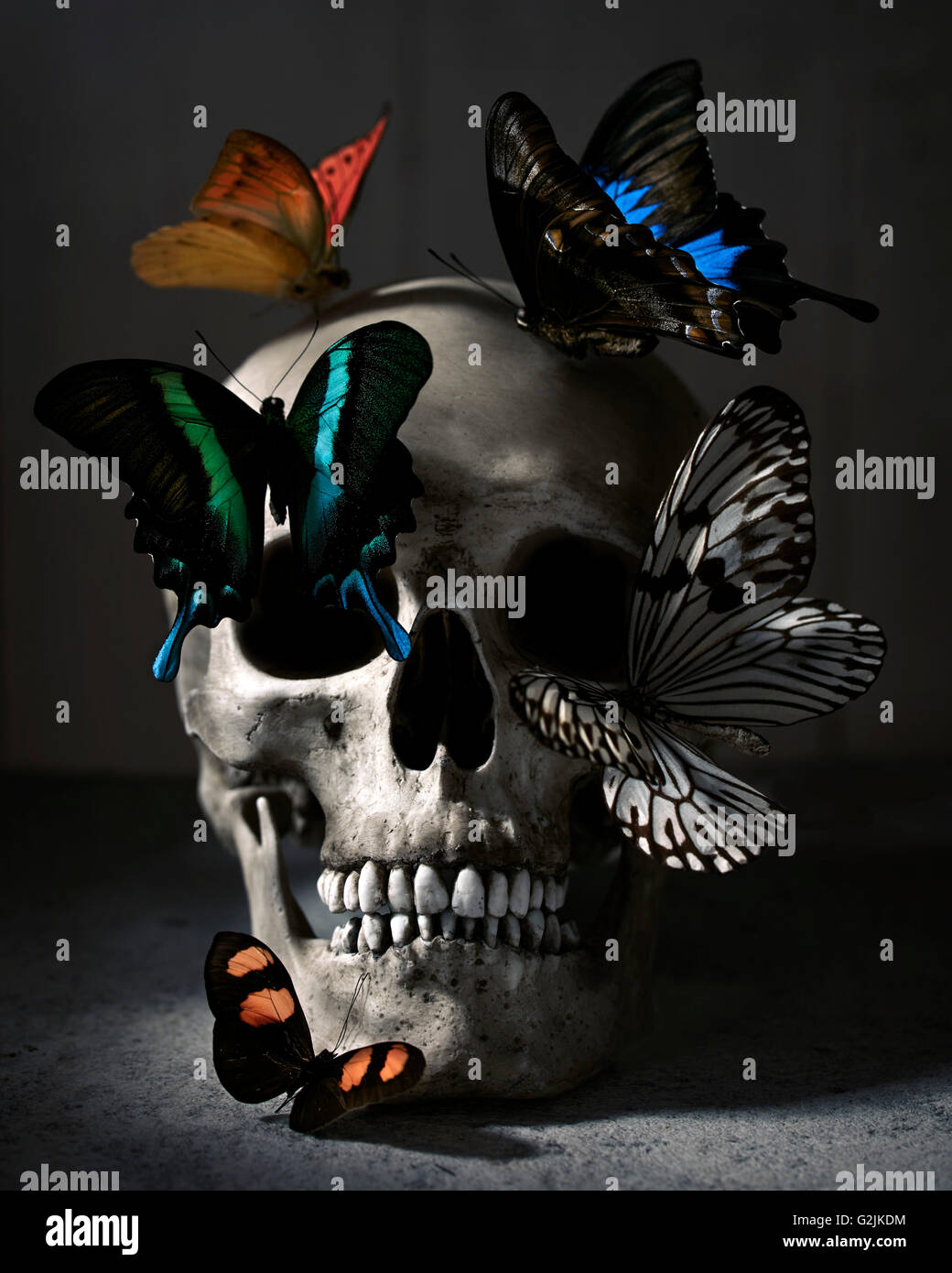 Skeleton face hi-res stock photography and images - Alamy