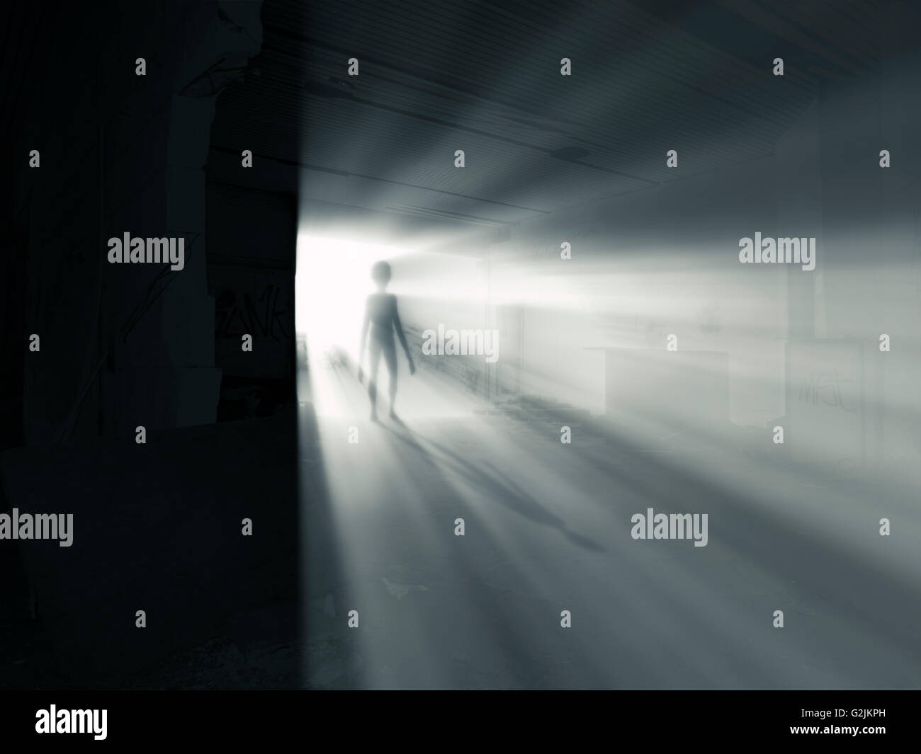 Light Entering Room High Resolution Stock Photography and Images - Alamy