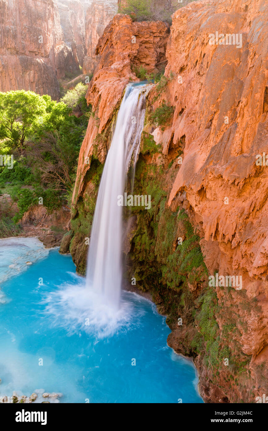 Havasu Falls plunges into a deep blue-green pool, with Cataract Canyon ...