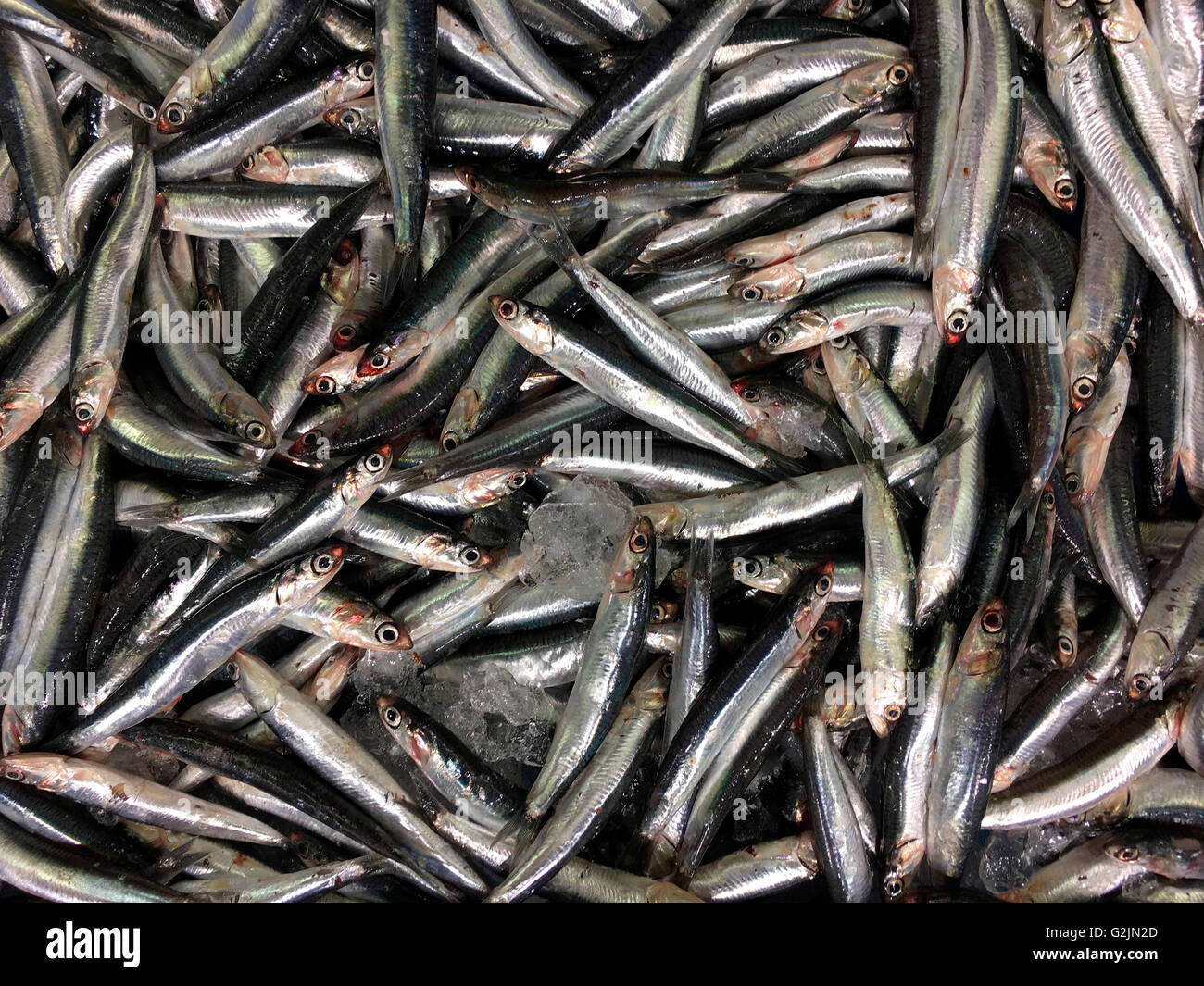 Sprats - Fish for sale on a market stall Stock Photo - Alamy